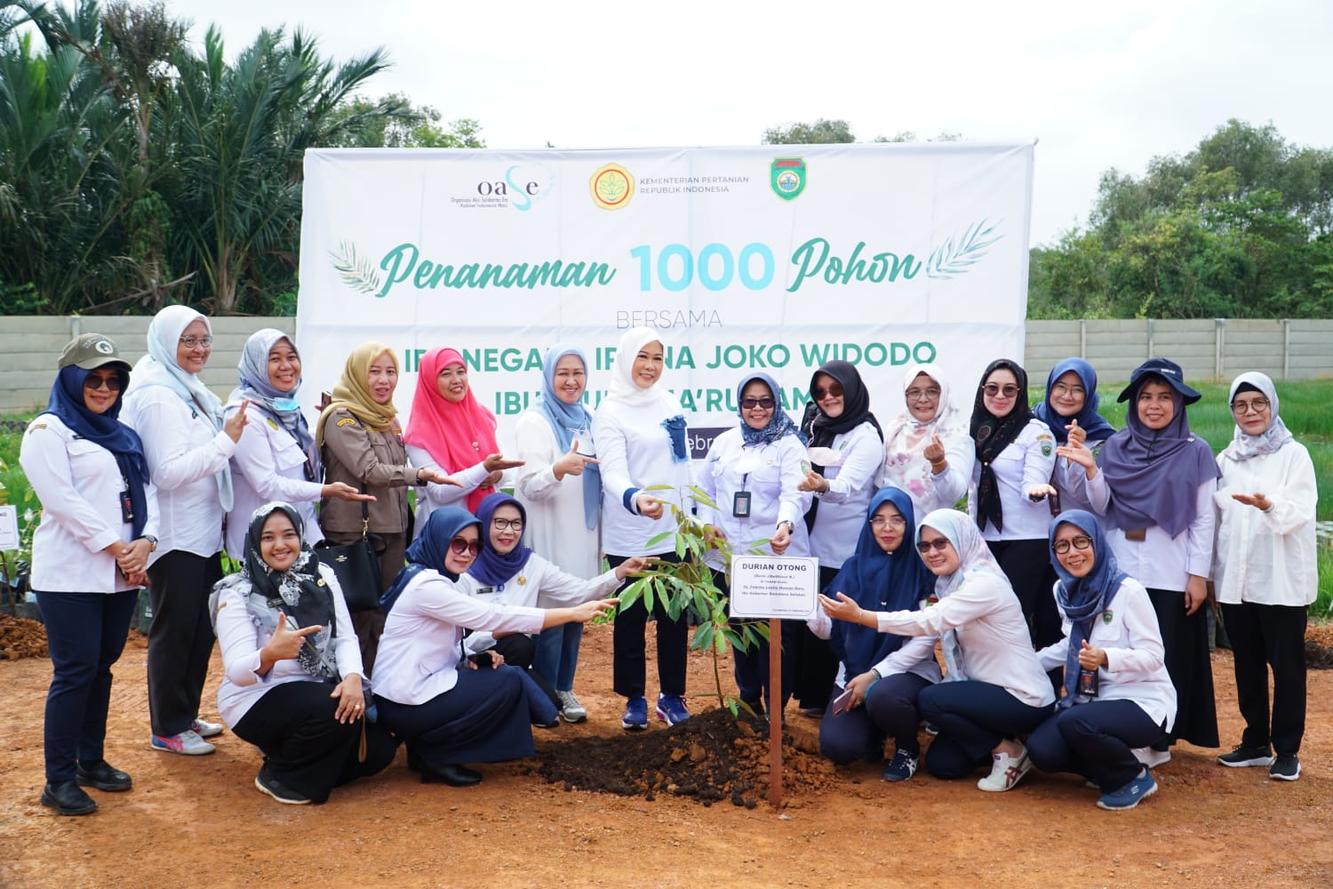 TP-PKK Prov Sumsel Ikuti Penanaman 1000 Pohon Bersama Ibu Negara ...