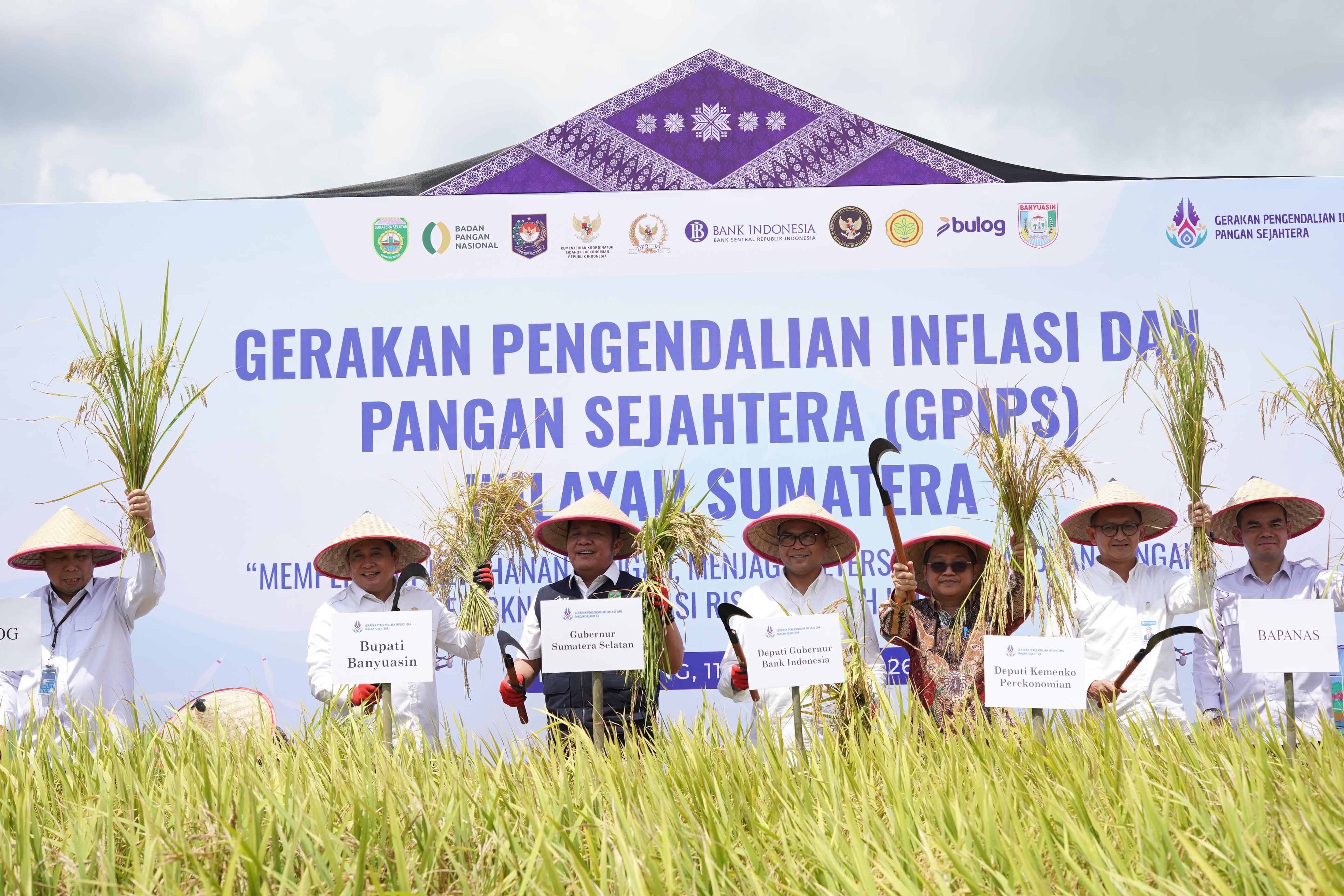 Satudata Sumsel | Sumsel Juara! Peringkat 3 Nasional Produsen Beras ...