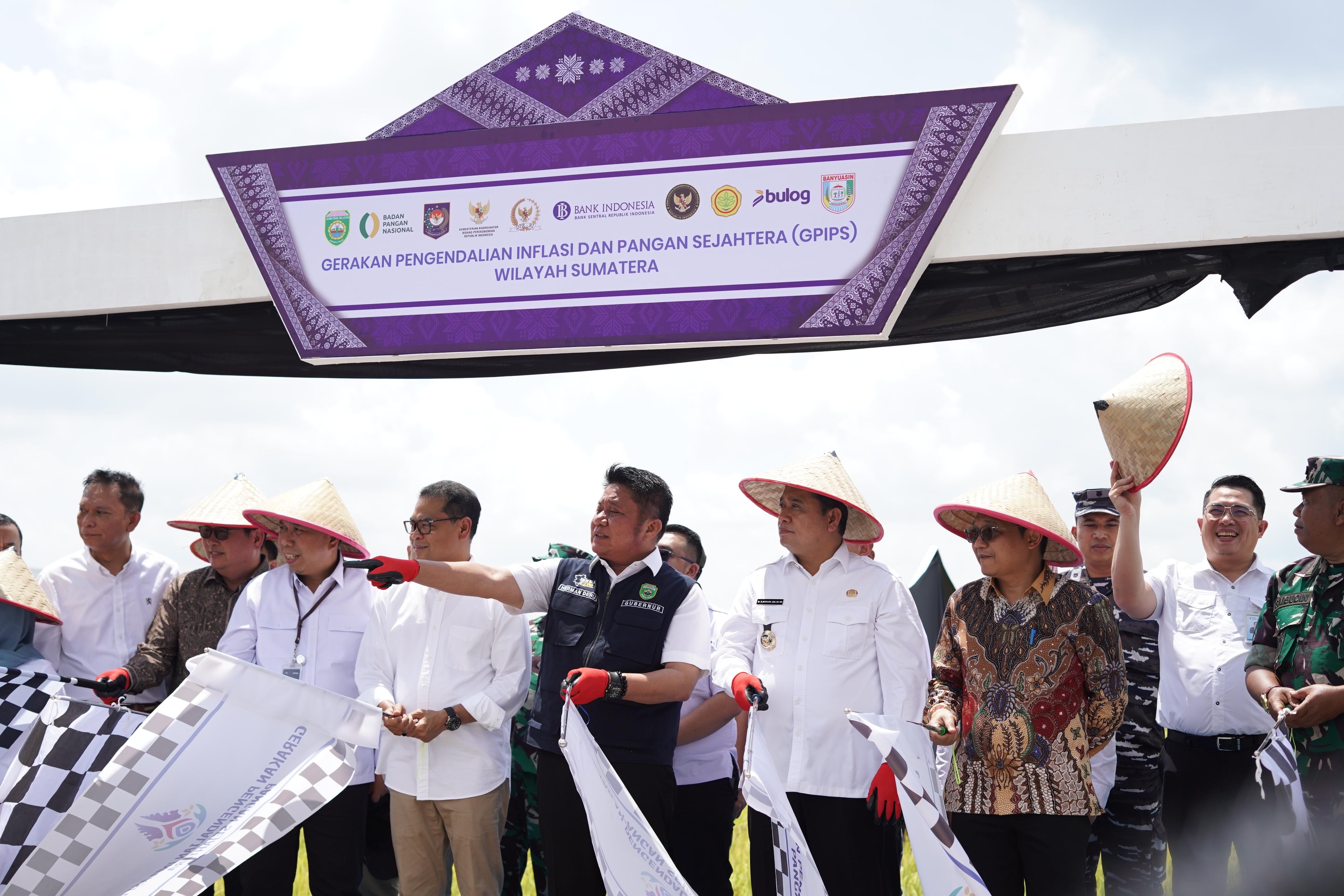 Satudata Sumsel | Sumsel Juara! Peringkat 3 Nasional Produsen Beras ...